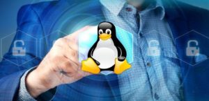 Servidores Linux, las mejores distribuciones — Prestigia